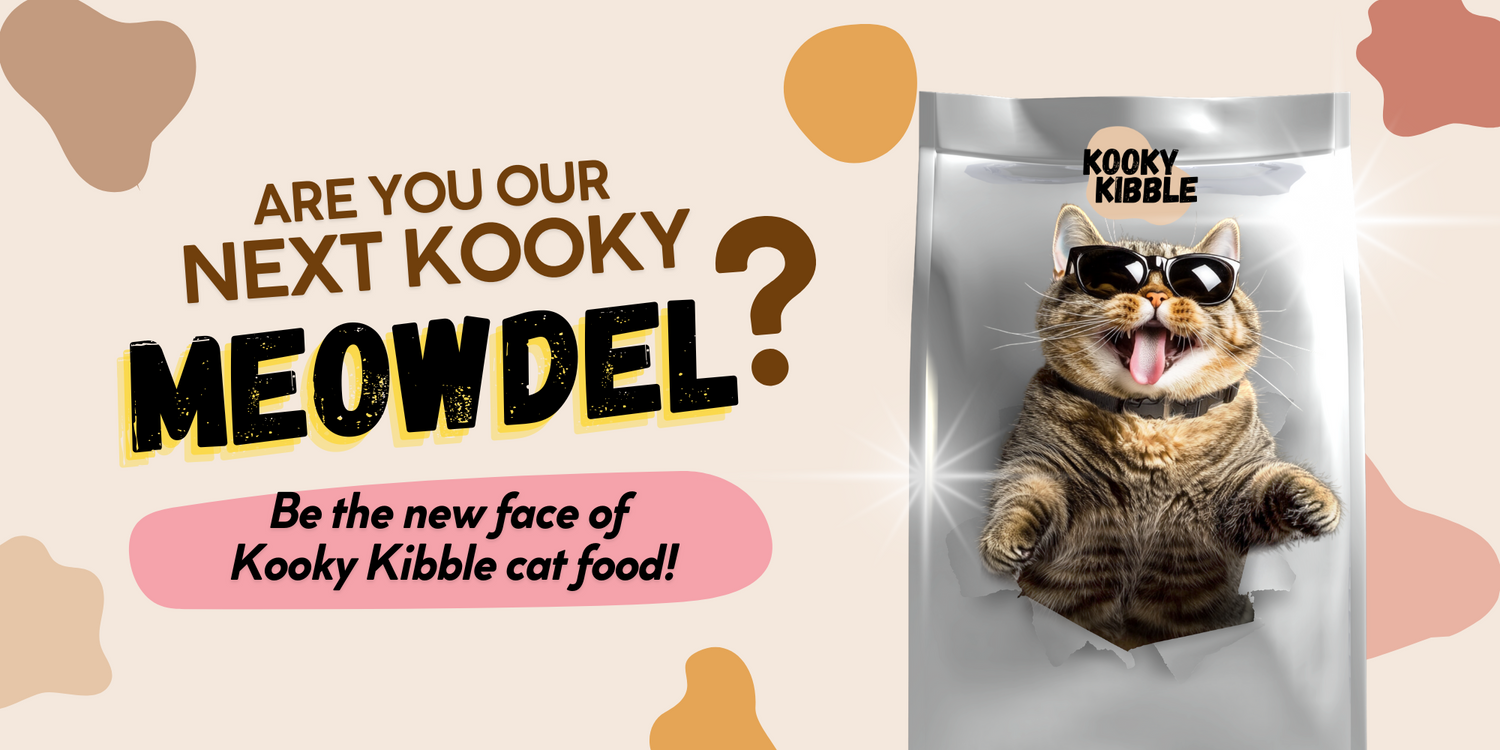 Enter Your Cat to Be the Next Face of Kooky Kibble! – Kooky Kibble NZ