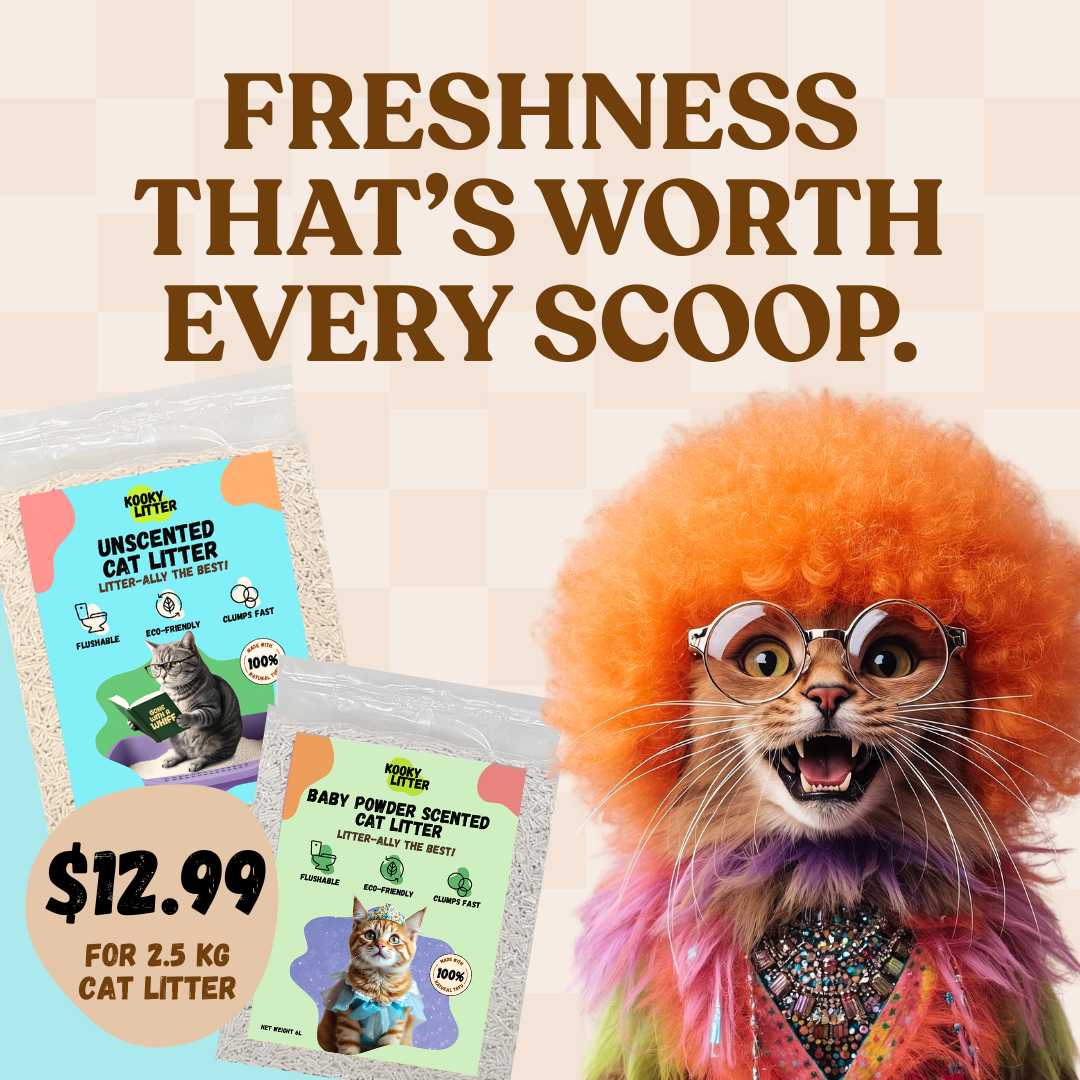 Kooky Kibble NZ: Sustainable Pet Food Made in New Zealand