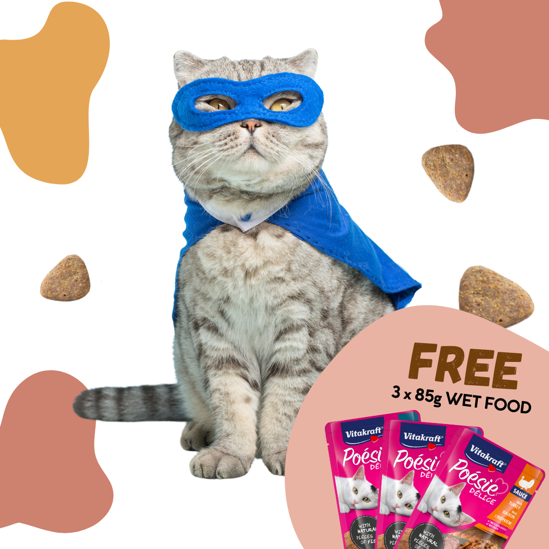 Kooky Kibble New Zealand Cat Food for All Life Stages – Kooky Kibble NZ