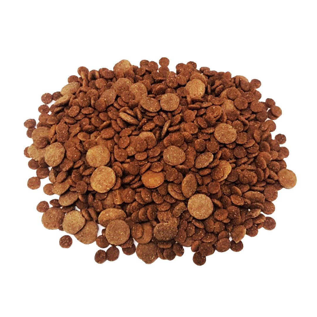 Kooky Kibble New Zealand Cat Food for All Life Stages – Kooky Kibble NZ