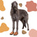 Kooky Kibble Grain-Free Dog Food | Perfect for Farm & Working Dogs ...
